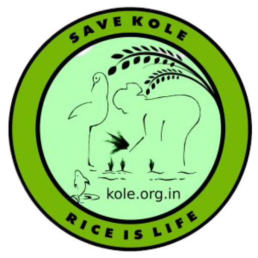 cropped-Kole-logo-1-removebg-preview.png – Kole Birders Community Portal